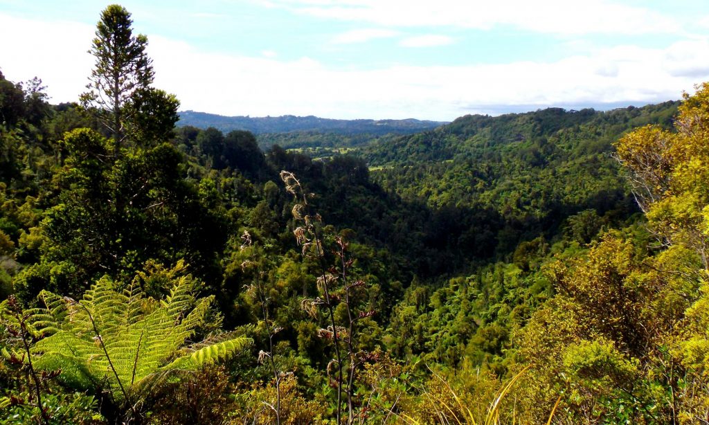 Microsoft Office 2024 Portable [Lifetime] [Lifetime] Tested – Waitakere ...